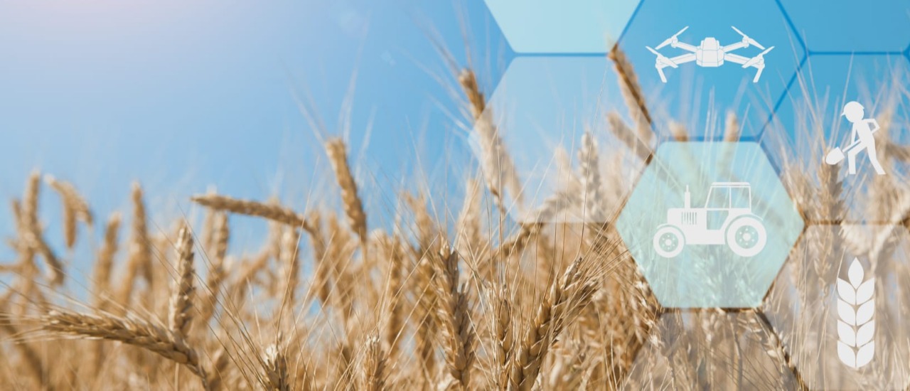 Big Data in agriculture: How to make it work? - N-iX