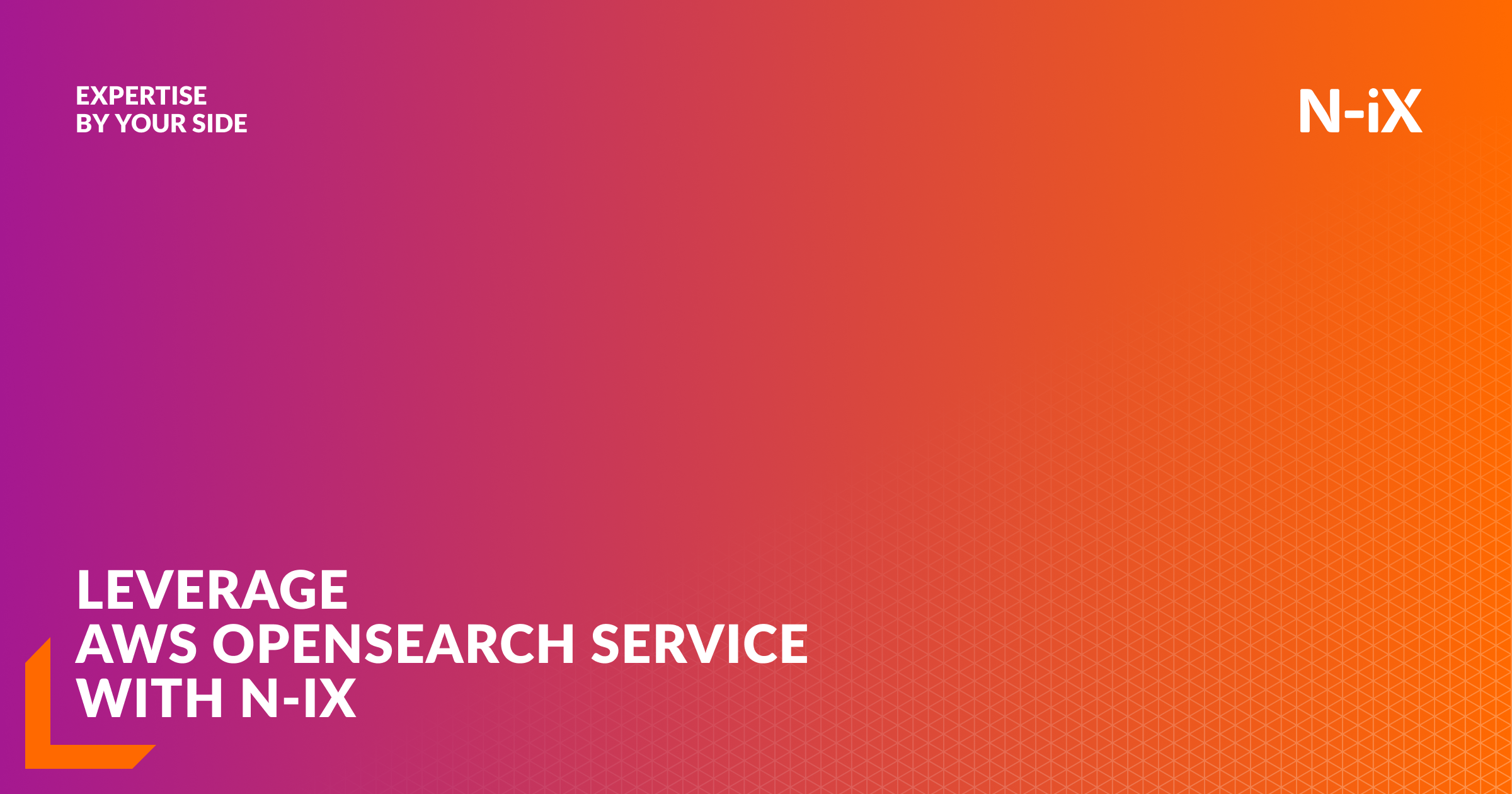 AWS OpenSearch Service consulting - N-iX