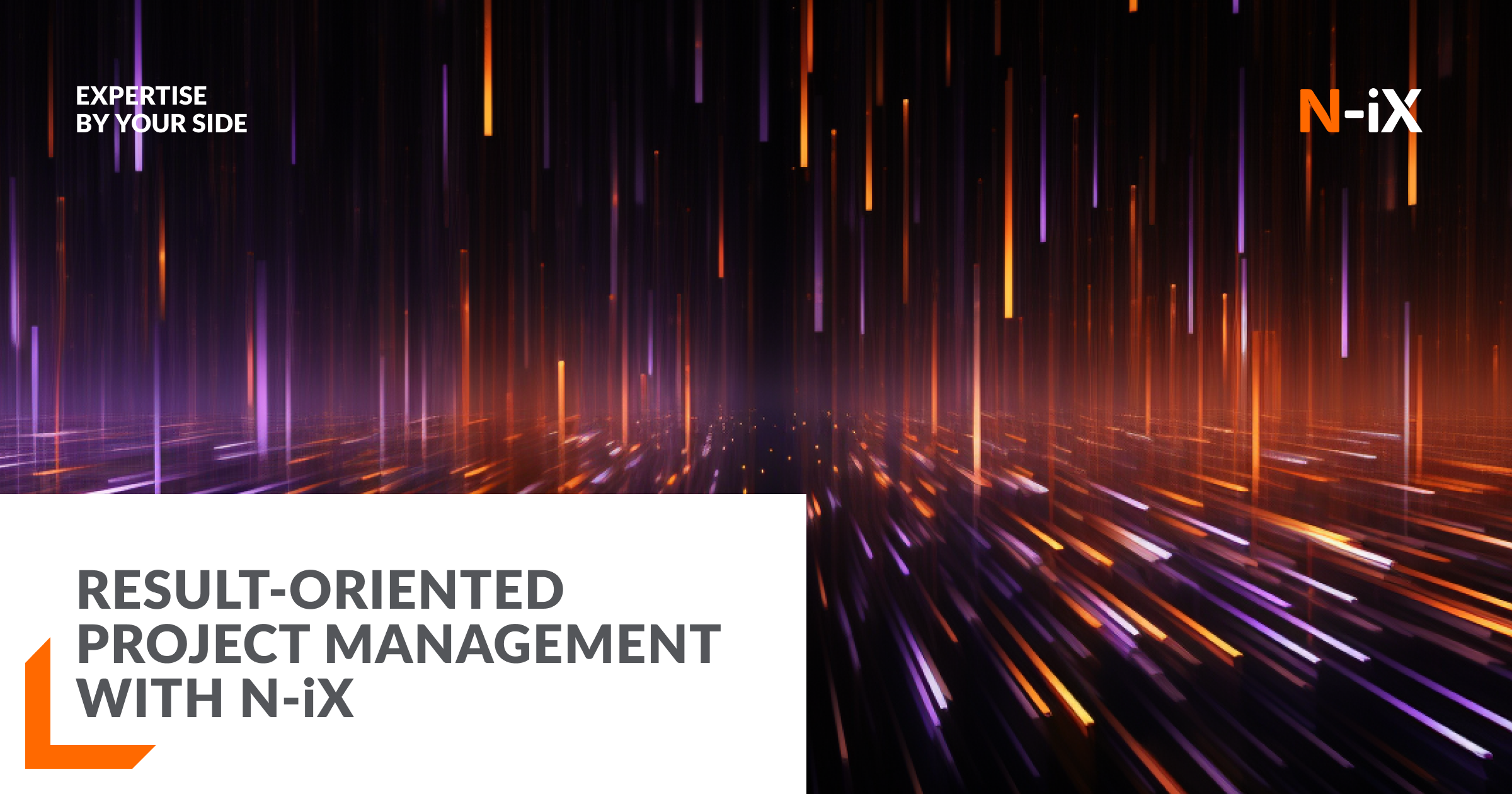 IT Project Management Services - N-iX