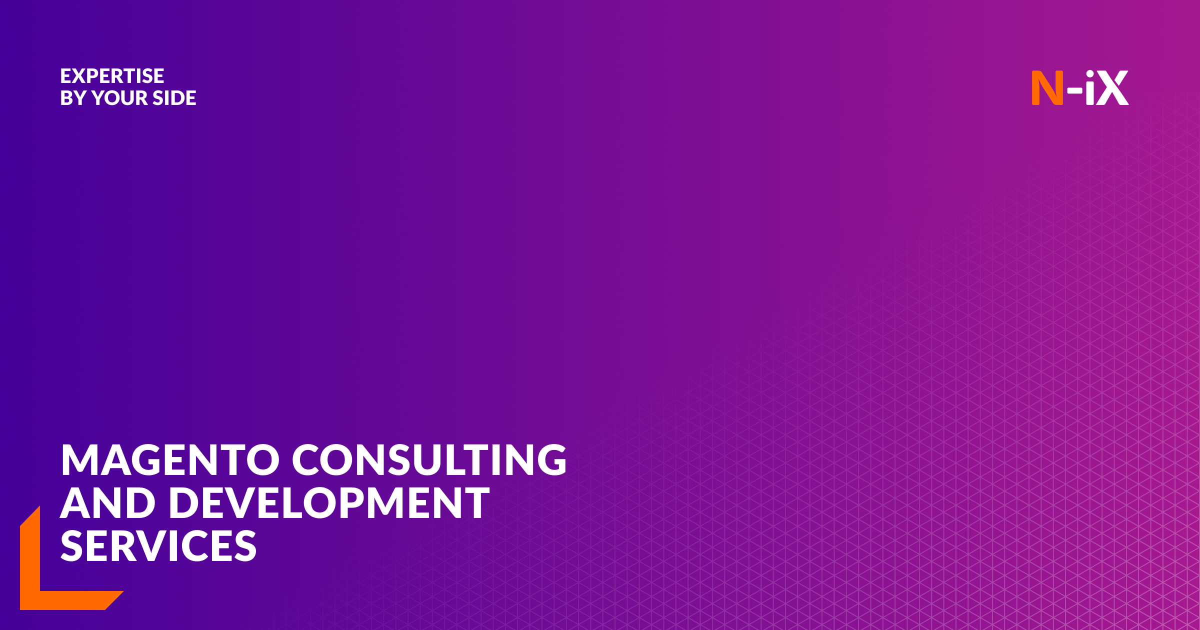 Custom Magento development and consulting services - N-iX