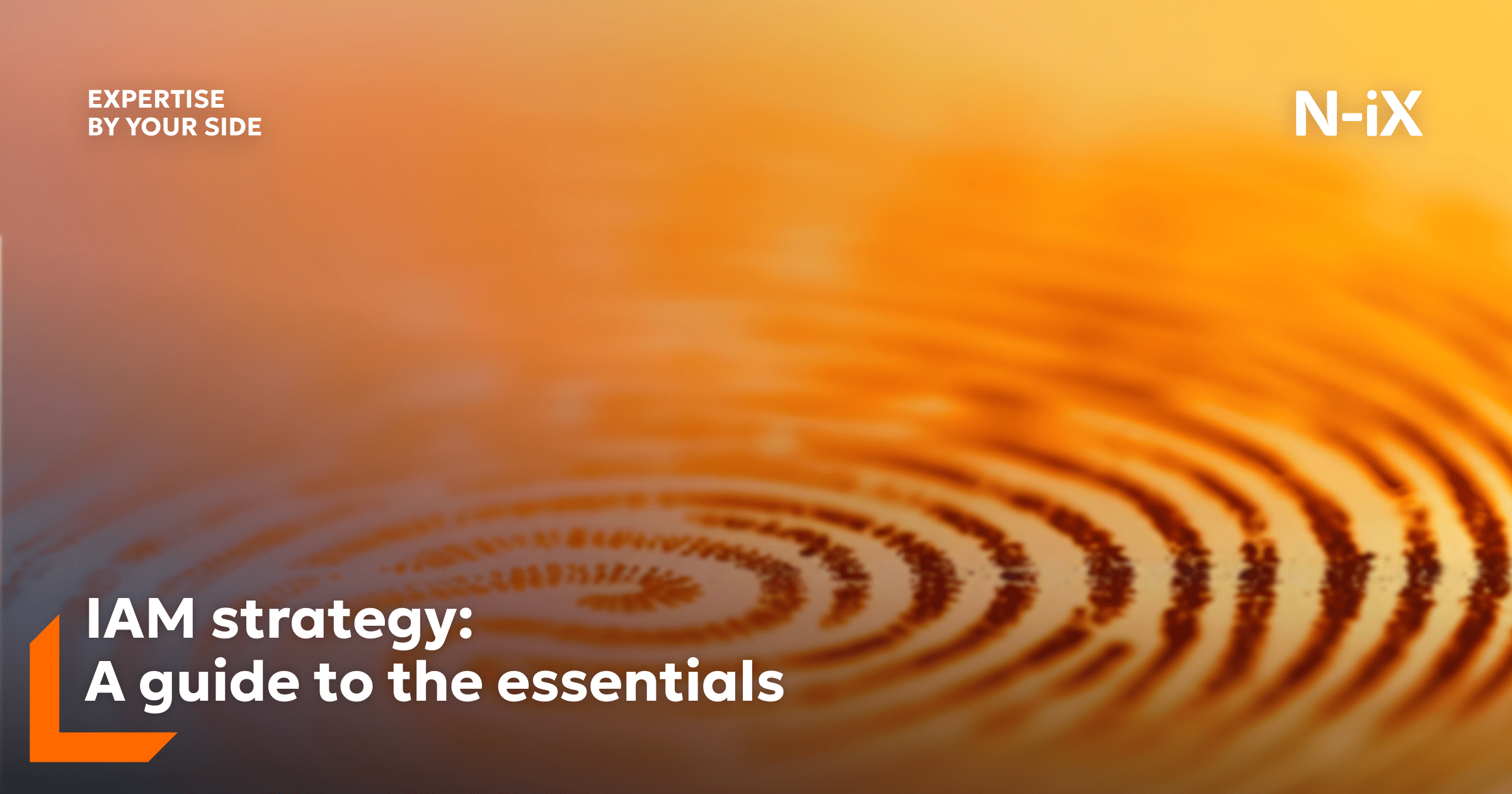 IAM strategy essentials: What, why, and how to implement - N-iX
