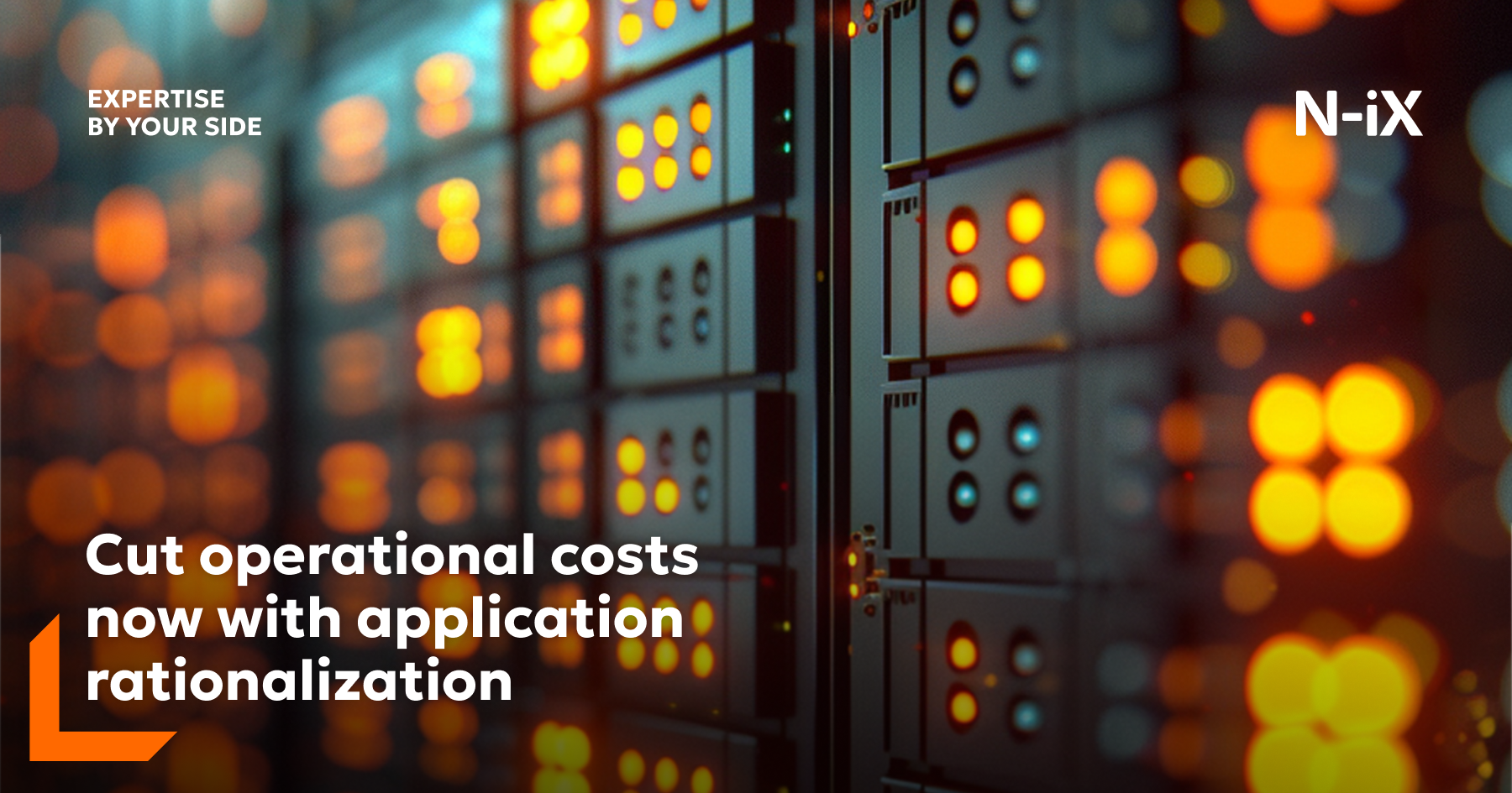 Guide to application rationalization - N-iX