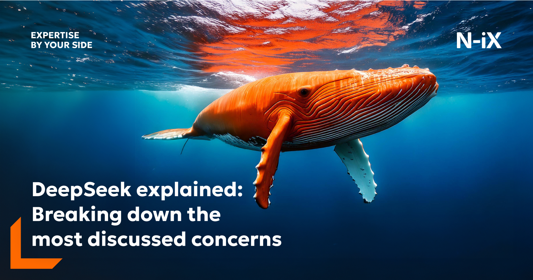DeepSeek explained: Breaking down the most discussed concerns - N-iX